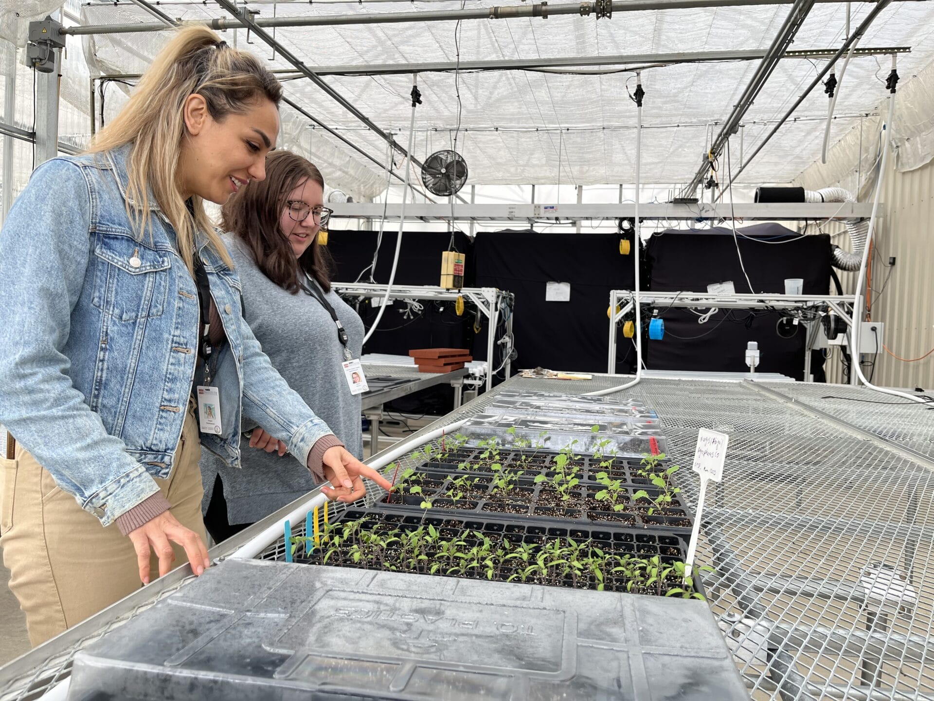 IALR Collaborates with AgroSpheres - Institute for Advanced Learning ...